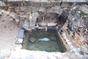 Immersion baths were typical for Jews in Christ's day | Reformed ...