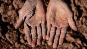 Jude’s Grandsons— Grand Nephews of Jesus - EARLY CHURCH HISTORY